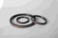 China 50mm-340mm SPGW Seal Bidirectional Piston Seal High Pressure for sale