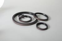 China 50mm-340mm SPGW Seal Bidirectional Piston Seal High Pressure for sale