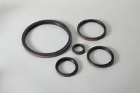China 50mm-340mm SPGW Seal Bidirectional Piston Seal High Pressure for sale