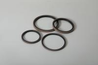 China Auto Engines Mechanical Rubber SPG Seal Engine Oil Seals for sale
