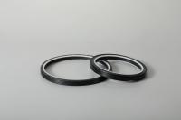 China 70 Shore A Single Lip Double Lip Seal Composite Lip Mechanical Seal Kit for sale