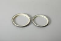 China 0.05mm Tolerance Oil Seal Water Chemical Resistance Double Lip Seal Hydraulic Cylinder for sale