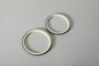 China 0.05mm Tolerance Oil Seal Water Chemical Resistance Double Lip Seal Hydraulic Cylinder for sale