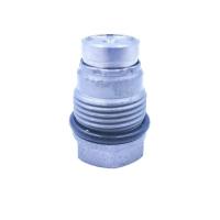China Pressure Regulator Release Valve 1110010028 for Fuel Engine Pump Standard Size Heavy Truck for sale