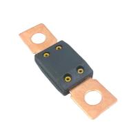 China 100A Flat Spiral Automobile Fuse for Vehicle Electrical System Cars Buses Trucks for sale