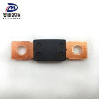 China 100A Flat Spiral Automobile Fuse for Vehicle Electrical System Cars Buses Trucks for sale