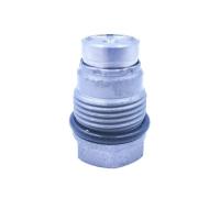 China Standard Size Pressure Regulator Release Valve 1110010028 for Fuel Engine Pump for sale