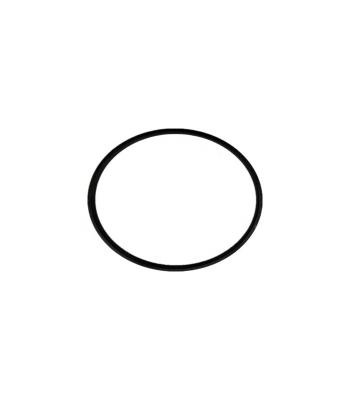 China Rear Hub Wheel Outer Oil Seal for Bus Replacement Standard Size CCC Certified for sale