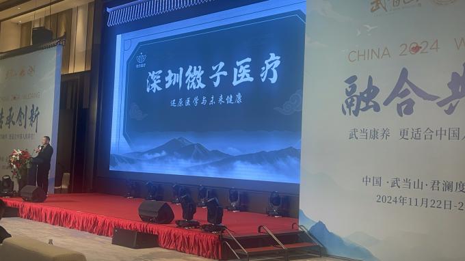 latest company news about WEIZI Medical's participation in the 2024 4th Wudang Taoist Medical Health Care Conference and the 2025 Taoist Medical Appropriate Technology and Ion Medicine Seminar ended! 2