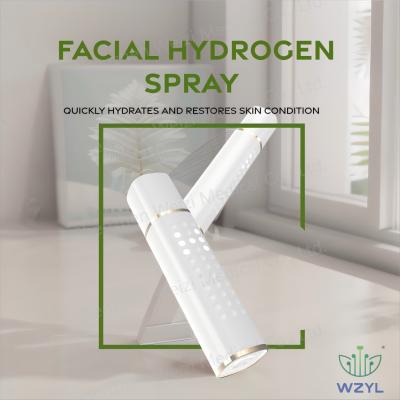 China Skincare Whitening Hydrogen Water Spray 1000PPB Portable Anti Wrinkle for sale
