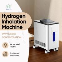 China High Concentration Molecular Hydrogen Inhaler Machine Anti Inflammatory for sale