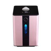 China PEM Turbo Hydrogen Breathing Machine Reduce Inflammation 150 Ml for sale