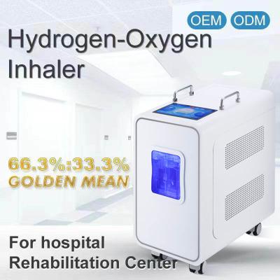China 110v 220v Home PEM Hydrogen Inhalation Therapy Machine 3000ml for sale