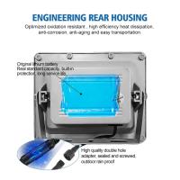 China 100W Outdoor Waterproof High-power New Rural Solar Led Street Lamp with Remote Control for sale