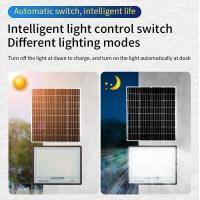 China Four In One Lamp Beads Solar Landscape FloodLights IP67 With Remote for sale