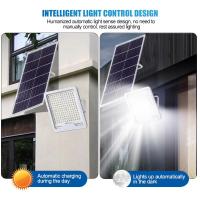 China 200W Cool White Solar Landscape Flood Lights With Remote Control for sale