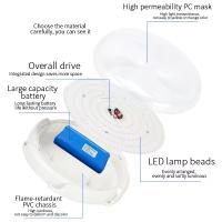 China 40W IP65 Waterproof LED Ceiling Light Cool White LED Solar System Ceiling Lamp For Garden for sale