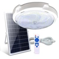 China 40W IP65 Waterproof LED Ceiling Light Cool White LED Solar System Ceiling Lamp For Garden for sale