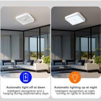 China Indoor Solar Ceiling Lights Energy Saving IP65 Waterproof Outdoor Ceiling Lights for sale