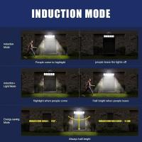 China 100W China Outdoor Polysilicon Solar Floodlight Suppliers for sale