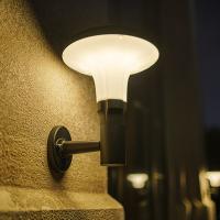 China 3.2V/8000mAh Outdoor Ip65 Waterproof Led Solar Wall Mounted Light Garden Light for sale