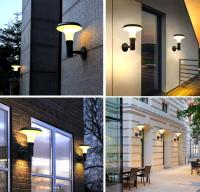 China 3.2V/8000mAh Outdoor Ip65 Waterproof Led Solar Wall Mounted Light Garden Light for sale