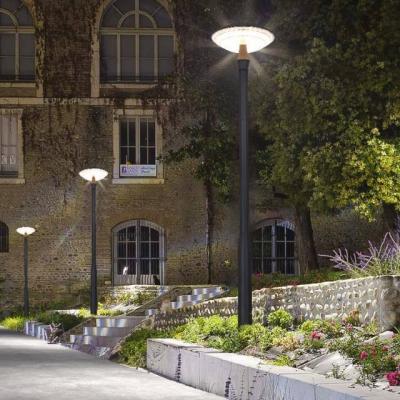 China Landscape Light Waterproof LED Garden Lamp for Pathway, Park and Courtyard Lighting for sale