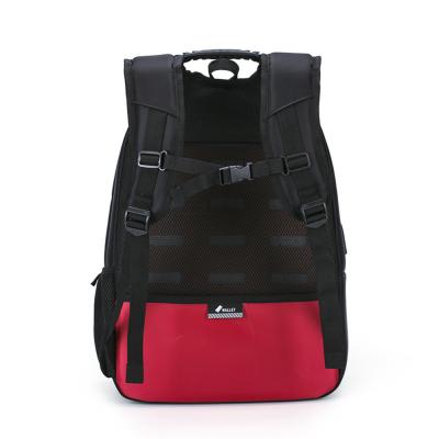 China Simple But Fashion Laptop Back Bag , Softback Trendy Laptop Backpacks for sale