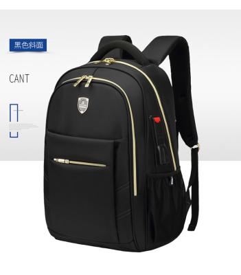 China Travel Anti Theft Nylon Laptop Backpack Varies Function Pockets For Storage for sale