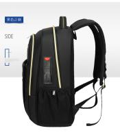 China Travel Anti Theft Nylon Laptop Backpack Varies Function Pockets For Storage for sale