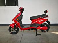 China High Quality 1200W EEC Pedal Assisted Electric Scooter Suitable for Adult for sale