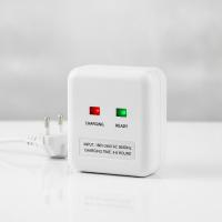 China Standard Battery Charger with LED Charging Status Indicator, 4-6 Hours Charging Time, and 180V-240V AC Input for sale