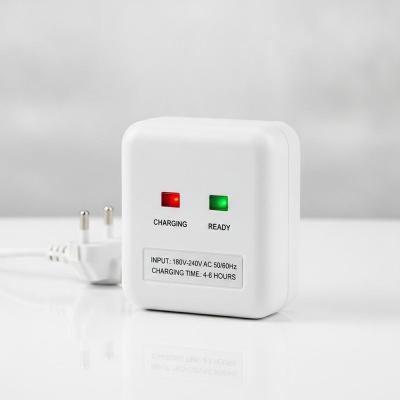 China Standard Battery Charger with LED Charging Status Indicator, 4-6 Hours Charging Time, and 180V-240V AC Input for sale