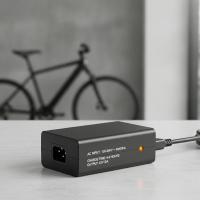 China 300 Grams Lightweight Ebike Battery Charger with 100-240V AC Input and 4-6 Hours Charging Time for Electric Bikes for sale