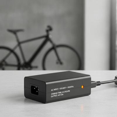 China 300 Grams Lightweight Ebike Battery Charger with 100-240V AC Input and 4-6 Hours Charging Time for Electric Bikes for sale
