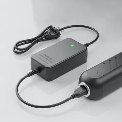 China 54.6V 2A Ebike Battery Charger with 4-6 Hours Charging Time and Overcharge Protection for Electric Scooters for sale