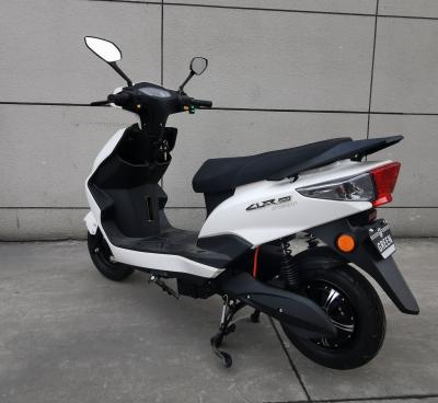 China On sale New designed electric moped scooter with lithuim battery/lead acid battery and OEM service for sale