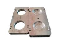 China 200k Shots PMMA Plastic 2 Cavity Injection Mold ODM for sale
