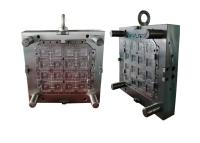 China HASCO MISUMI FUTABA LKM Equivalent Standard Plastic Injection Mold for sale