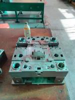 China Multi Cavity Custom Plastic Injection Mold with HASCO hot runner for sale