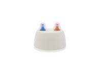 China Invisible CIC Hearing Aids With Bluetooth Red Blue Audifonos for sale