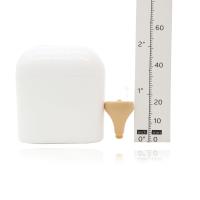 China White Rechargeable CIC Hearing Aids for sale
