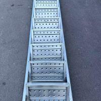 China Aluminum Scaffolding Ladders 3m Silver for Versatile Applications for sale