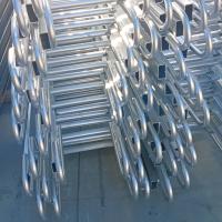 China Scaffolding System Ladder Silver Scaffolding Climbing Ladders For Customized for sale