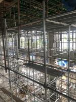 China Easy Setup HDG Q355/Q235 Ringlock Scaffoldings System for Building for sale