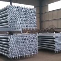 China Q355 Adjustable Hot Dip Galvanized China Galvanized Ringlock Scaffolding for sale