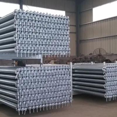 China Q355 Adjustable Hot Dip Galvanized China Galvanized Ringlock Scaffolding for sale