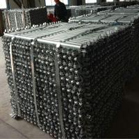 China Versatile Construction Parts SGS Certified Q235 Ringlock System Scaffolding Ledger for sale