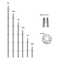 China Scaffolding Company Painted 48.3mm 2m Ringlock System Scaffolding For Contractors for sale