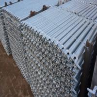 China Construction Ringlock Bridge Ledger Heavy Duty 2.5m Hot-dipped Galvanized with 3.25mm Tube Thickness Scaffolding for sale